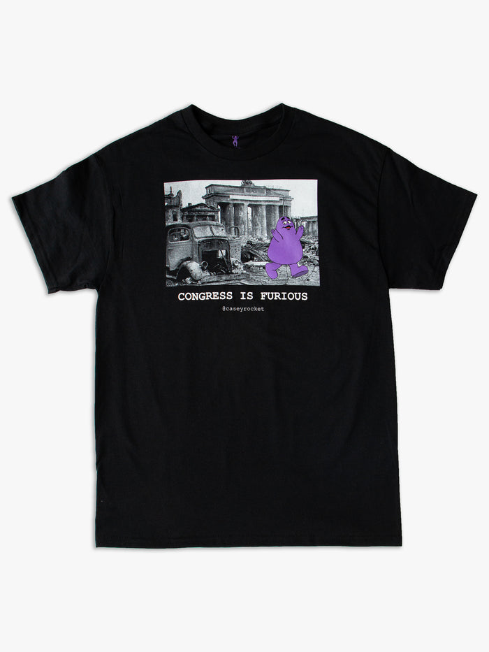 Congress is Furious by Casey Rocket – Raw Paw